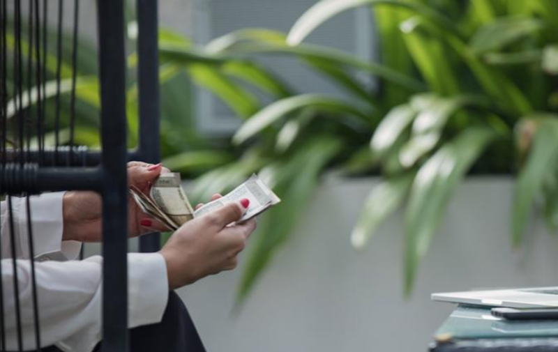 Bach Logic - Compliance usluga, Online edukacije